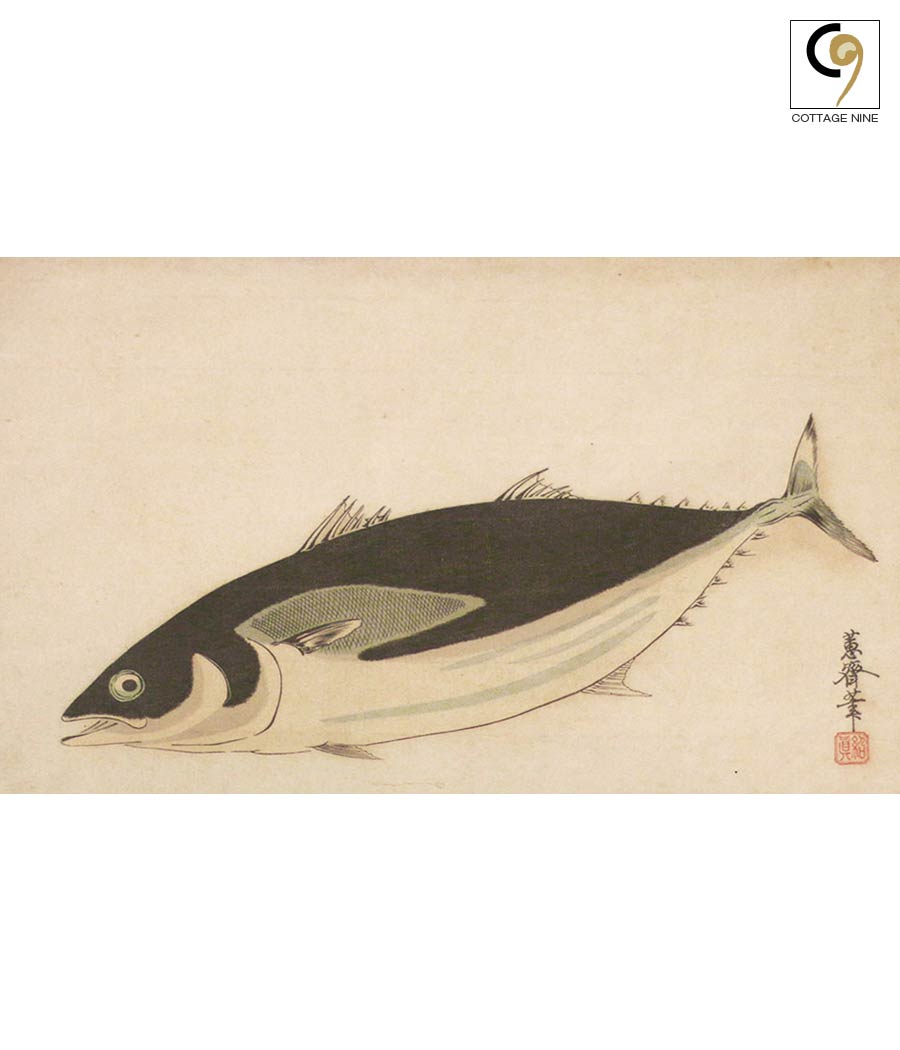 Bonito Japanese Woodblock Print – Traditional Ukiyo-e Art | Cottage9
